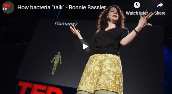 Intelligent Bacteria: Cells are Incredibly Smart