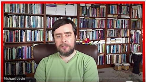 The Engineering of Consciousness with Michael Levin and Donald Hoffman